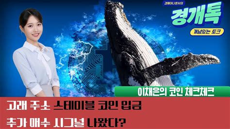 고래주소 스테이블 코인 입금추가 매수 시그널 Youtube