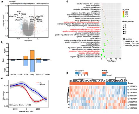 The Landscapes Of Bc Associated Dna Methylation Signatures In Pbmcs By