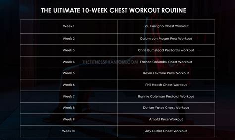 Chest Exercises Chart For Men Chest Exercises Chart For Men
