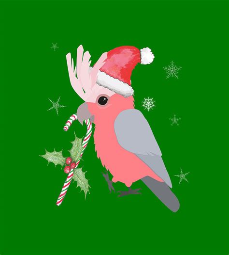 A Cute Christmas Galah Cockatoo Digital Art By Bianca Wisseloo Fine Art America