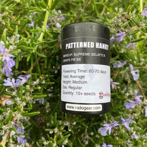 Cannarado Genetics Patterned Hanky Heritage Seed Bank