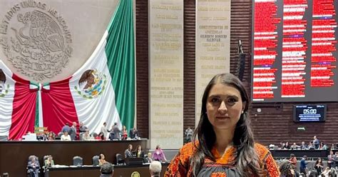 Diputada De Mc Pidió A Luisa María Alcalde “no Ser El Gallo De Pelea” De Amlo Infobae