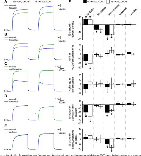 Slow Delayed Rectifier Potassium Current Blockade Contributes