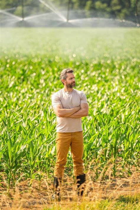 Man At Irrigation System Watering Agricultural Field Farmer Man Countryside Stock Image Image