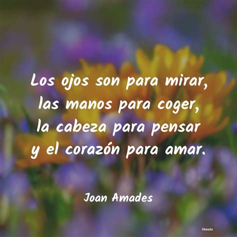 Frases Bonitas Para Mi Nieta Literato