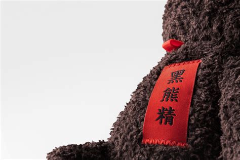 黑熊精小偶 问童子 源自中国