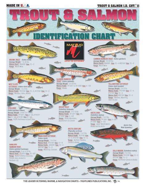 Trout And Salmon Identification 11 Waterproof Quick Reference Guide Portable And Built To