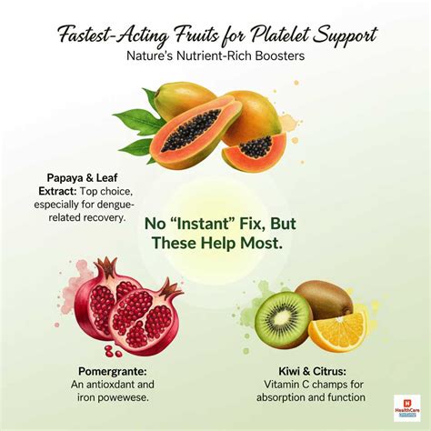 How To Increase Platelet Count And What Foods To Avoid When Platelets