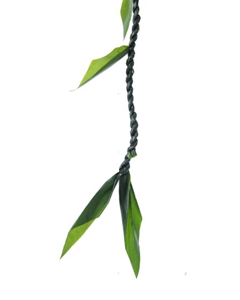 Ti Leaf Lei Commencement Lei