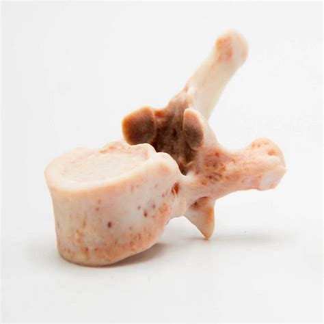 프로토타입제작 어디서 3d프린터 회사에서 제품 모형제작 이야기 3d프린터 전시모형 목업