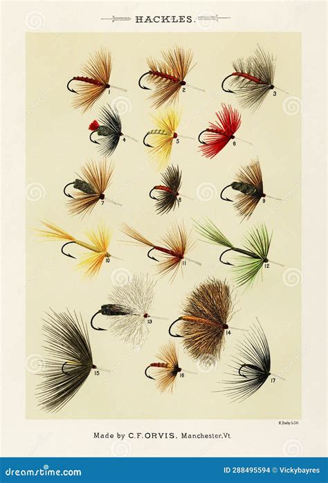 Vintage Illustration Of Fly Fishing Hooks Fly Fishing Ca 1890 Stock