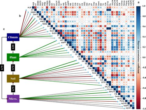 Terrestrial Oxygen Production Top Responses To Ecosystem Factors A