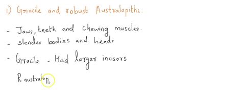 Solved What Are The Major Differences Between Gracile And Robust