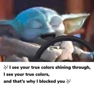 I See Your True Colors Shining Through See Your True Colors And That