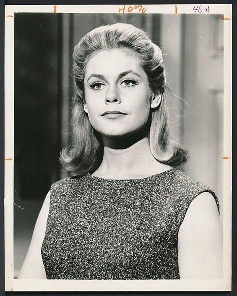 1960s Original Photo Elizabeth Montgomery As Samantha In Bewitched