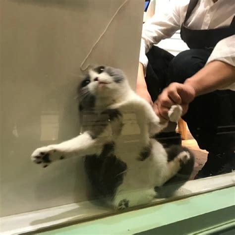 Mathtime Mathtime Added A New Photo