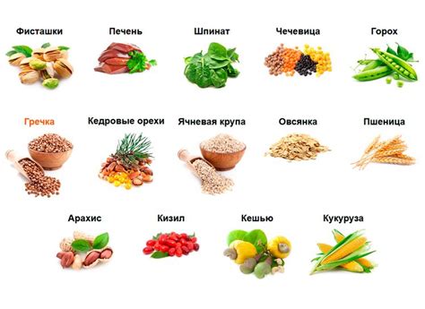Продукты богатые железом: ТОП-10 продуктов и блюд богаты железом