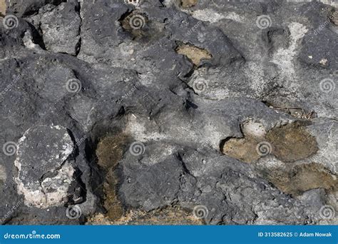 Rugged Limestone Rock Surface Texture Stock Image Image Of Ancient Durable