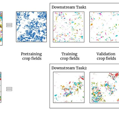dataset for the multi modal self supervised learning experiment the