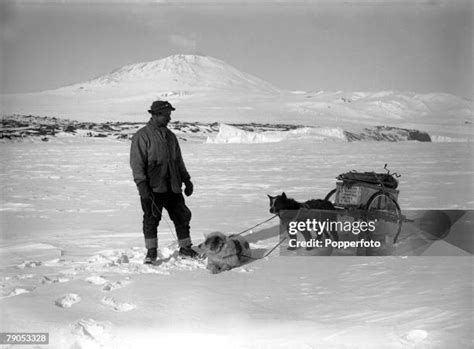 Cwrt Herbert Photos And Premium High Res Pictures Getty Images