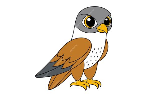 Premium Vector Falcon Vector Art Illustration