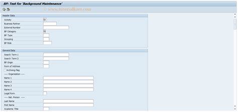 BUTI SAP Tcode Update Without Dialog