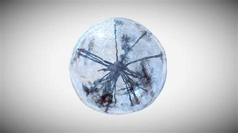 Cell Mutated Pbr 3d Model Turbosquid 2071081