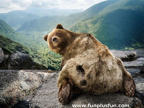 Really Funny Wallpapers Wallpaper Cave