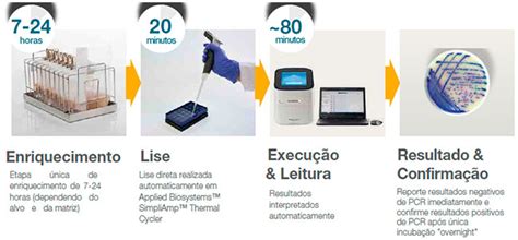 Thermo Scientific Suretect Listeria Spp L Monocytogenes E Salmonella Spp Pcr Agora Com