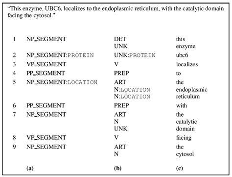 Input Representation For A Sentence Which Contains A Download
