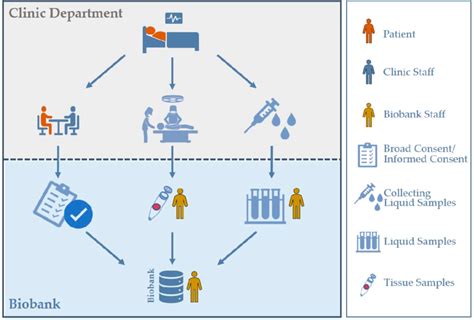 Schematic Representation Of Biobanking At The University Hospital