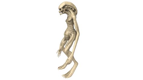 Alien Newborn 3d Model By Jaka Ardian