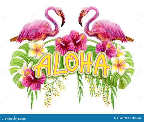 Aloha Cartoons Illustrations And Vector Stock Images 82180 Pictures To