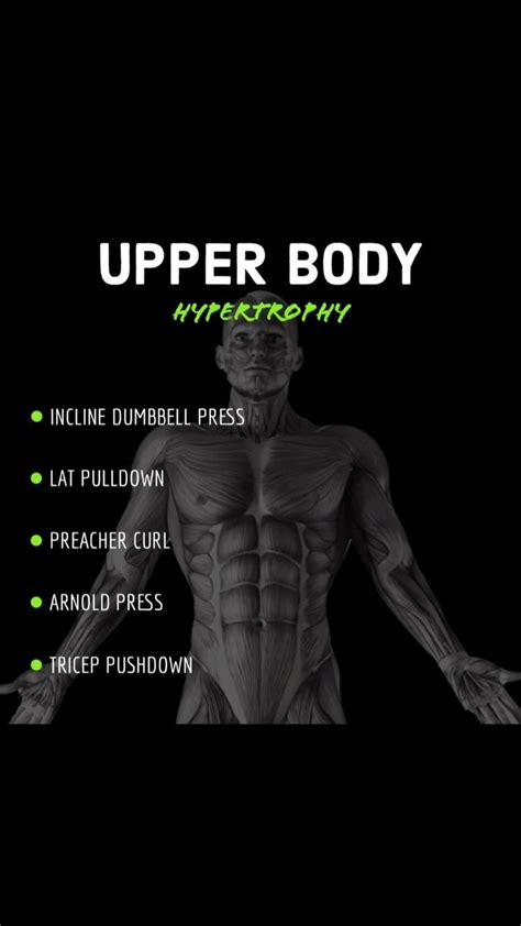 Full Body Hypertrophy Workout For Building Endurance Upper Body Workout Lower Body Workout
