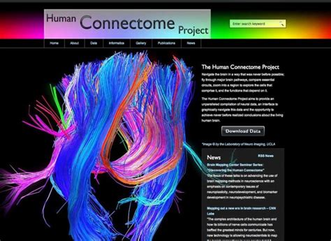 Scientists Reveal 3d Nerve Mapping Of The Human Brain Innovation