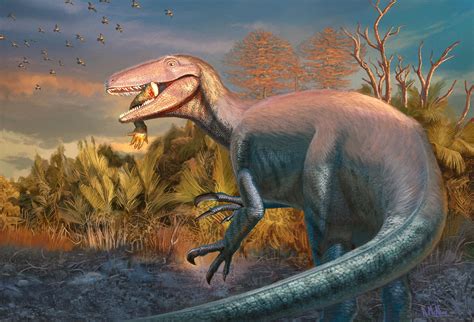 Scoperto Un Nuovo Megaraptor Con Il Suo Ultimo Pasto Ancora Tra Le