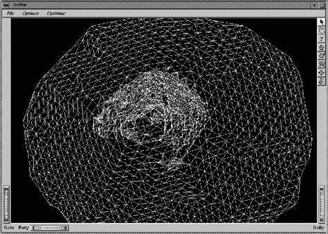 Multiresolution Polygon Model Produced From Registered Voxel Models