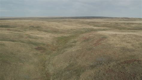 New Conservation Area Aims To Protect Endangered Grasslands In Southern