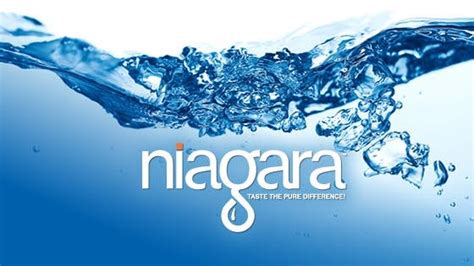 Niagara Logo Niagara Co Participating In Pilot Program For Correction