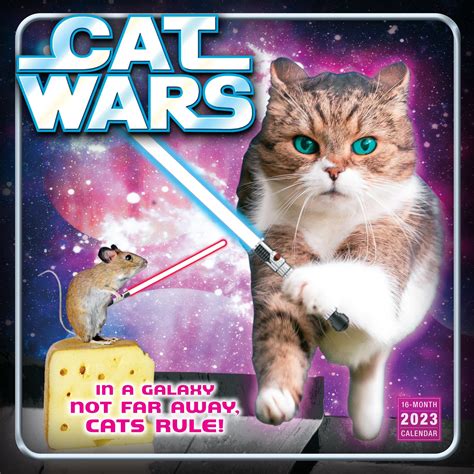 Star Wars Cat