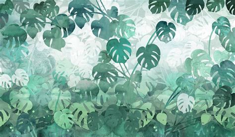 Murals Wallpaper Monstera At Ernest Rue Blog
