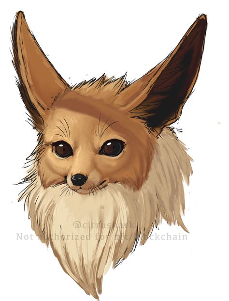 Citrusharks Art Farts — Fennec Pomeranian Fluff Eevee