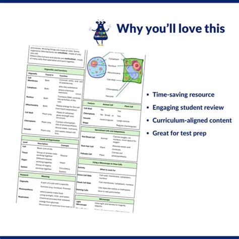Free Plant And Animal Cell Reference Guide Cell Organelles Structure