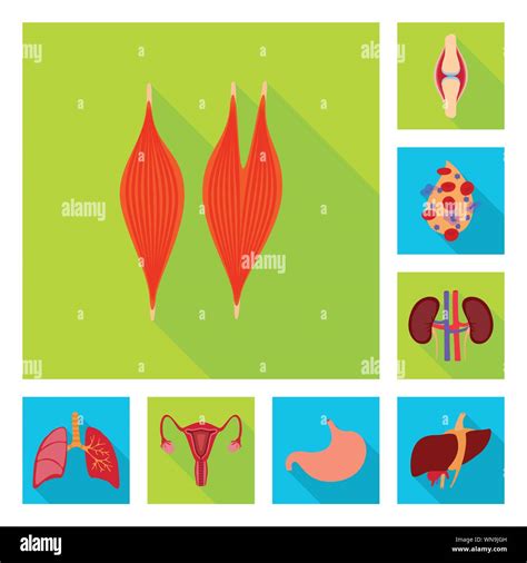 Vector Vectors Stock Vector Image And Art Alamy