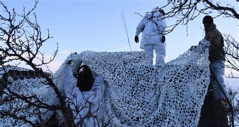 Passive Defense In Plants At Debra Schaper Blog