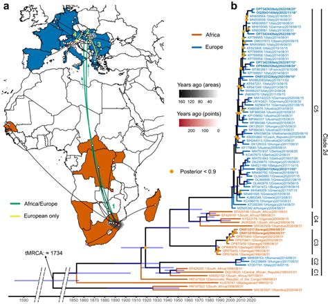 Phylogenetic Inference Of West Nile Virus Lineage 2 Wnv L2 Strains A