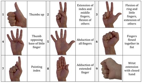 Hand Gestures