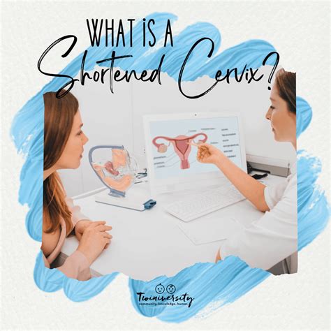 Short Cervix At 34 Weeks At Joseph Avent Blog