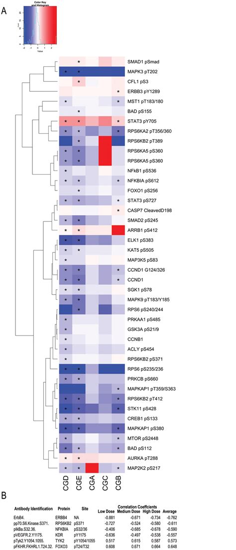 Reverse Phase Protein Array Reveals Downregulation Of Rtk Signaling