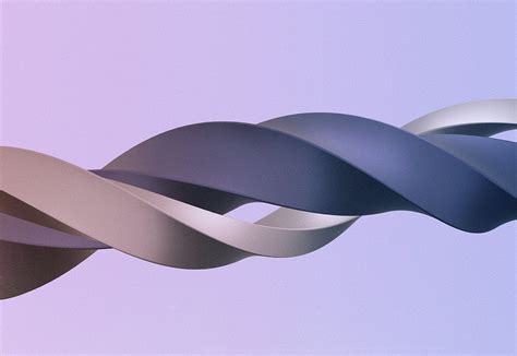 Le Widget Entry